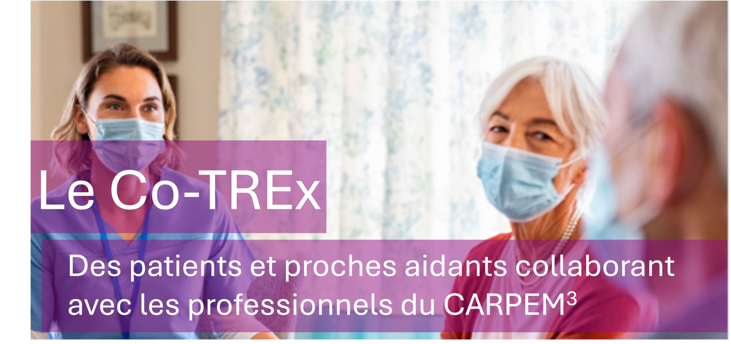 Le comité Co-TREX - Carpem